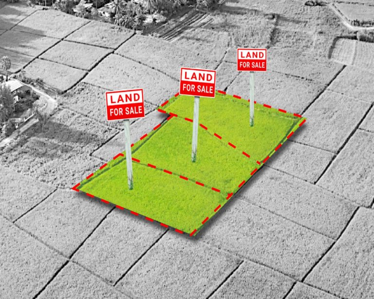 Establish investor goals for subdividing commercial land parcels ...